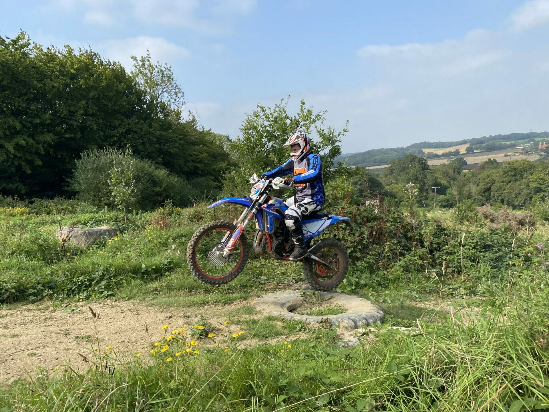 Teaching Old Dogs New Tricks - Desert Rose Riding Academy