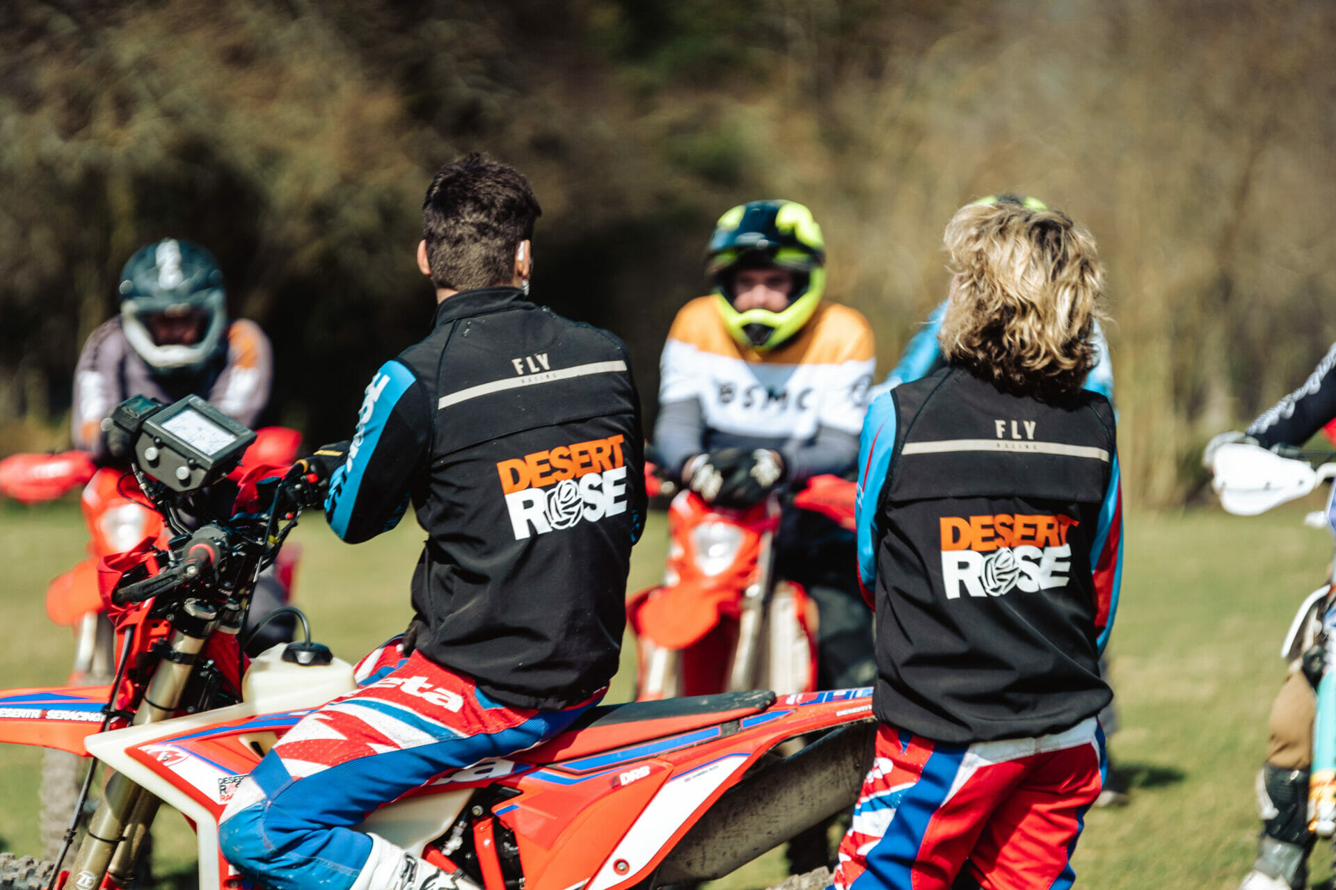 Our Courses - Desert Rose Riding Academy