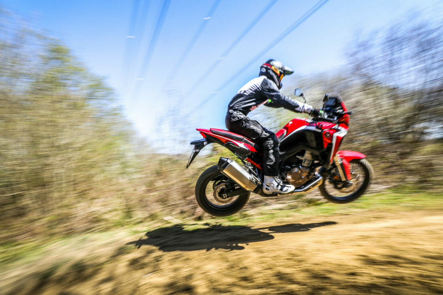 Homepage - Desert Rose Riding Academy