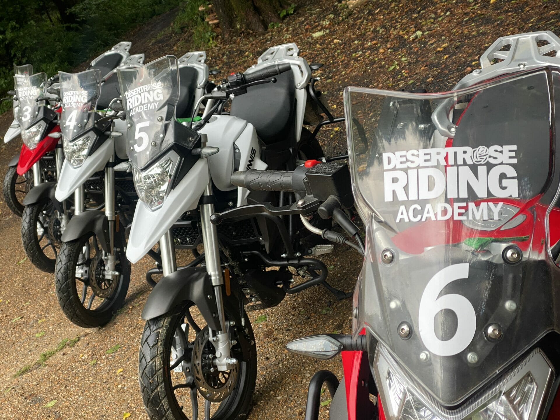 Desert Rose Riding Academy & Sinnis Motorcycles - Desert Rose Riding ...