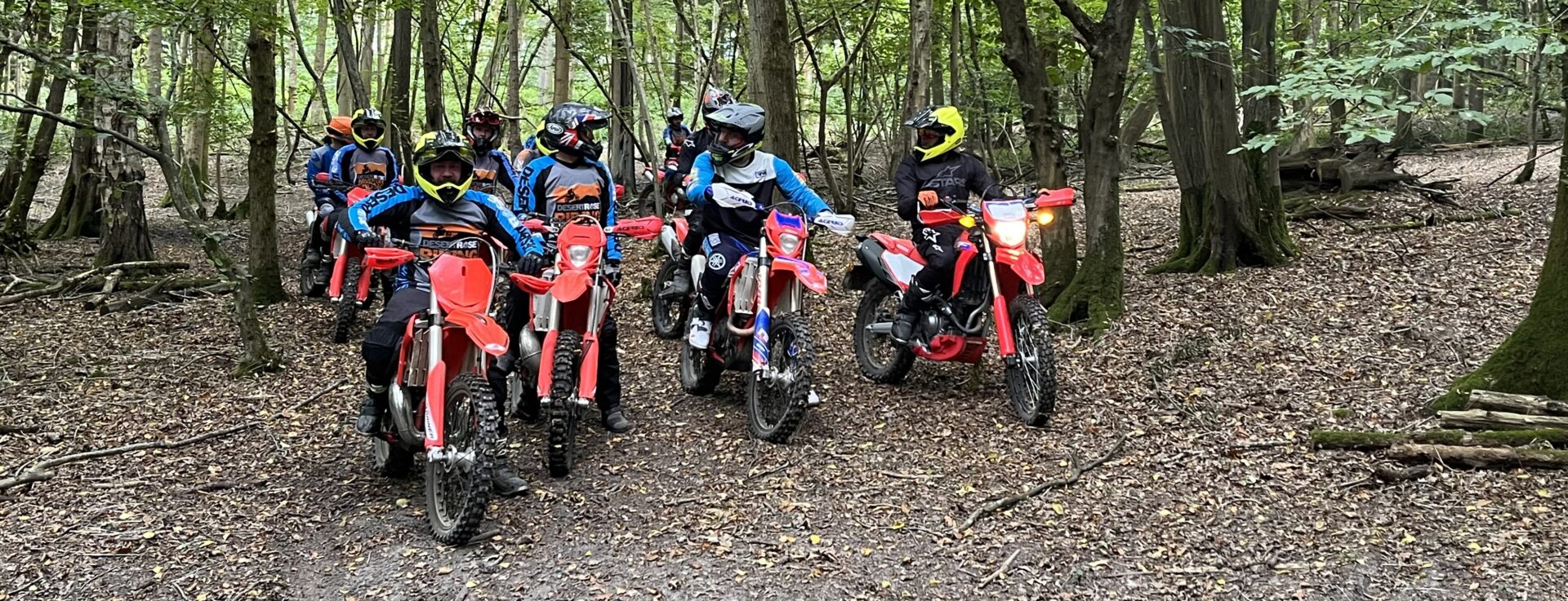 Stage 1 in Autumn Sunshine - Desert Rose Riding Academy